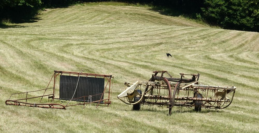Make hay - square or round - while the sun shines